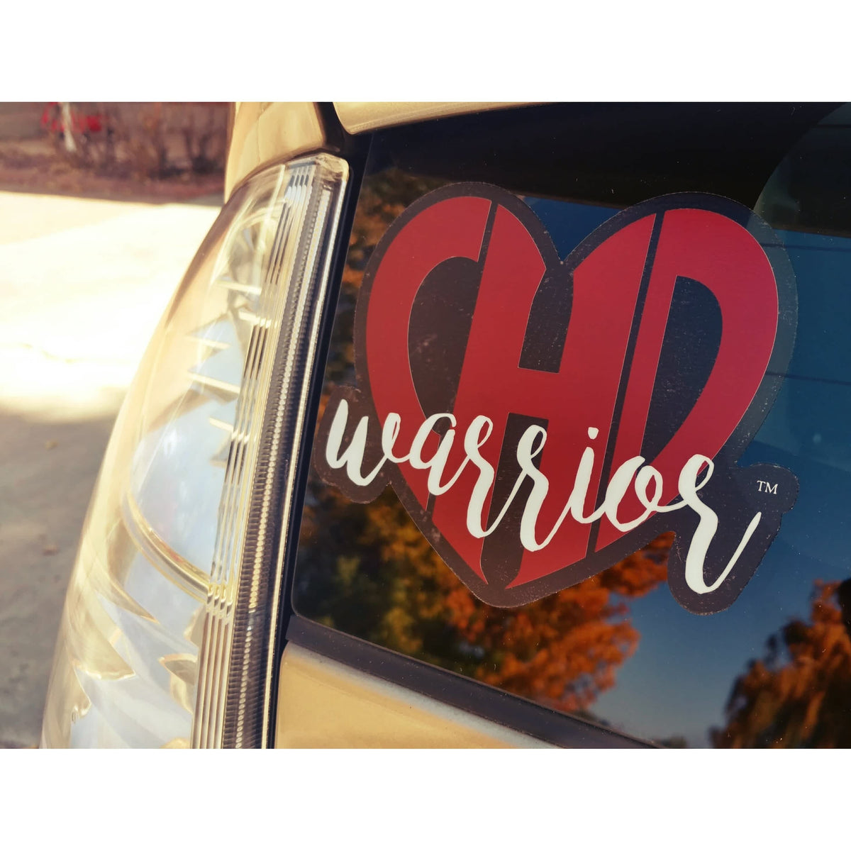 Original CHD Warrior Car Decal – CHD warrior
